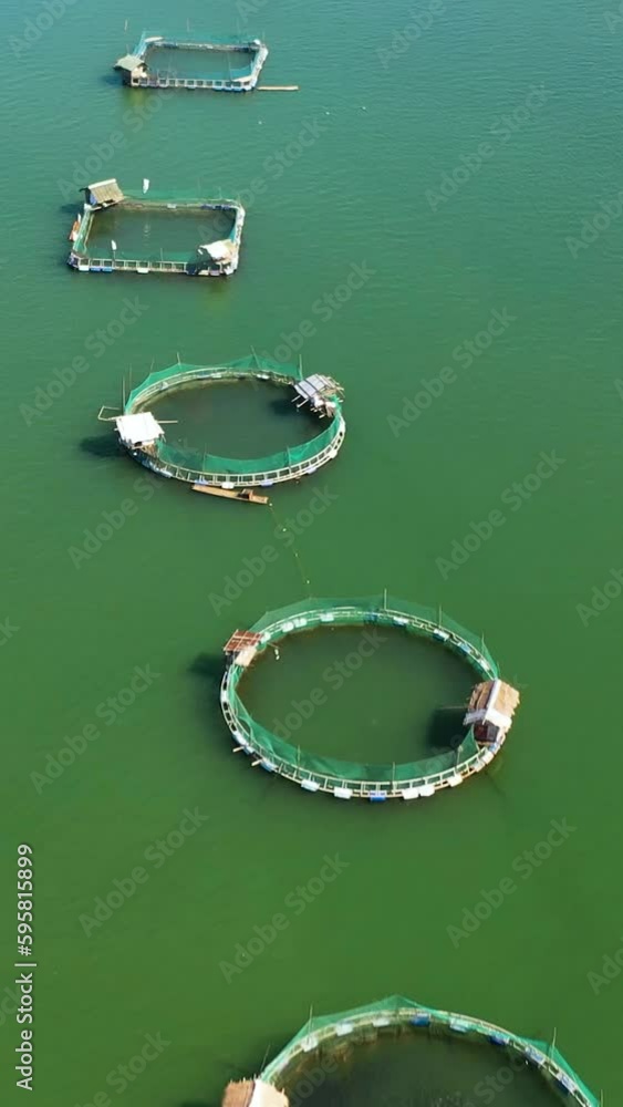 Aerial view of Fish farm with cages for fish and shrimp. Fish ponds for ...