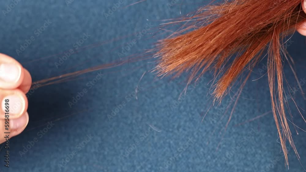 Close-up. Woman holds strand of dyed hair in one hand and pulls out ...