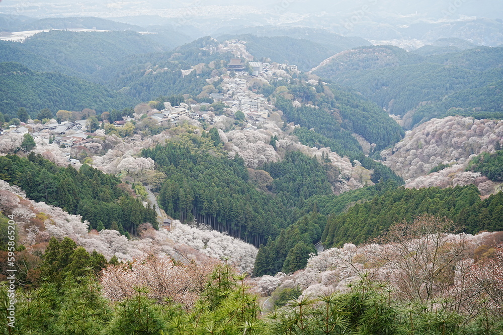 Yoshino-yama or Mount Yoshino in Nara, Japan. Pink Sakura or Cherry ...