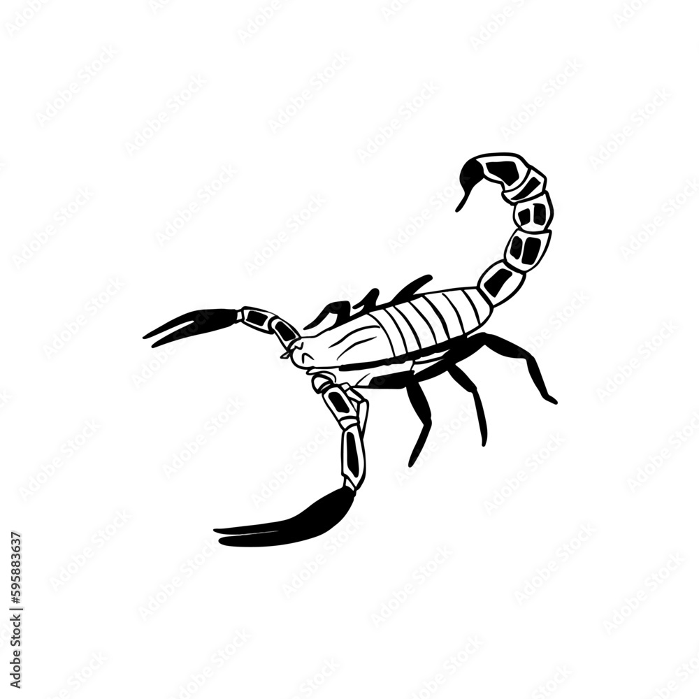 Vector sketch hand drawn silhouette of a scorpion, doodle art with ...