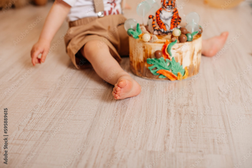 Baby feet and a cake for the first birthday. Cake Smash Shootings Stock ...
