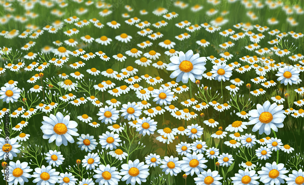Daisy flower backgrounds can be incorporated into your creative ...