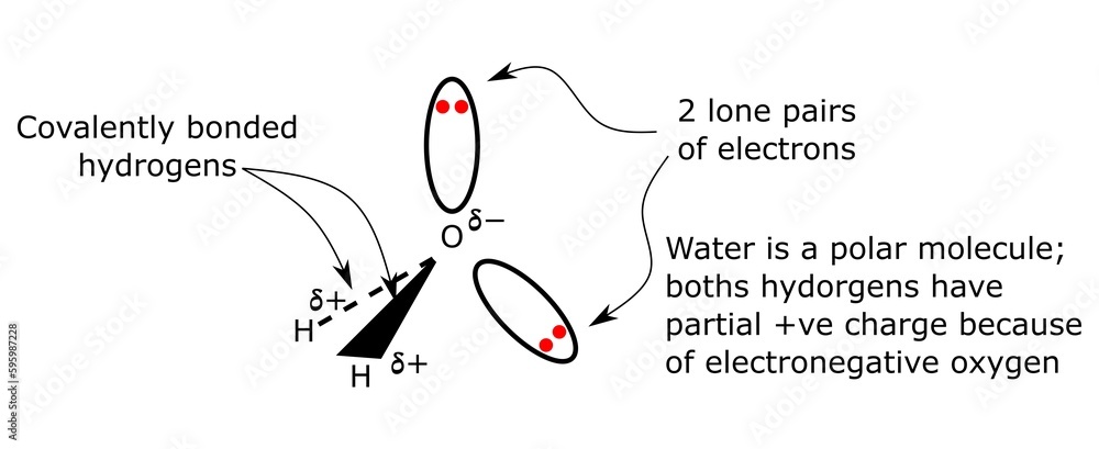 chemical structure of water molecule h2o tetrahedral tetrahedron bend ...