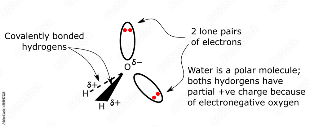 chemical structure of water molecule h2o tetrahedral tetrahedron bend ...