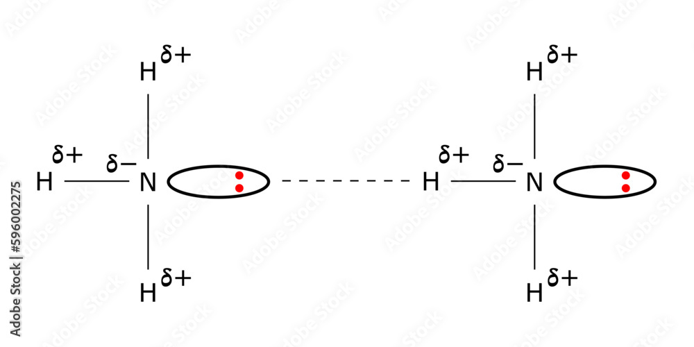 hydrogen bonding ammonia nitrogen lone pair electron partial positive ...