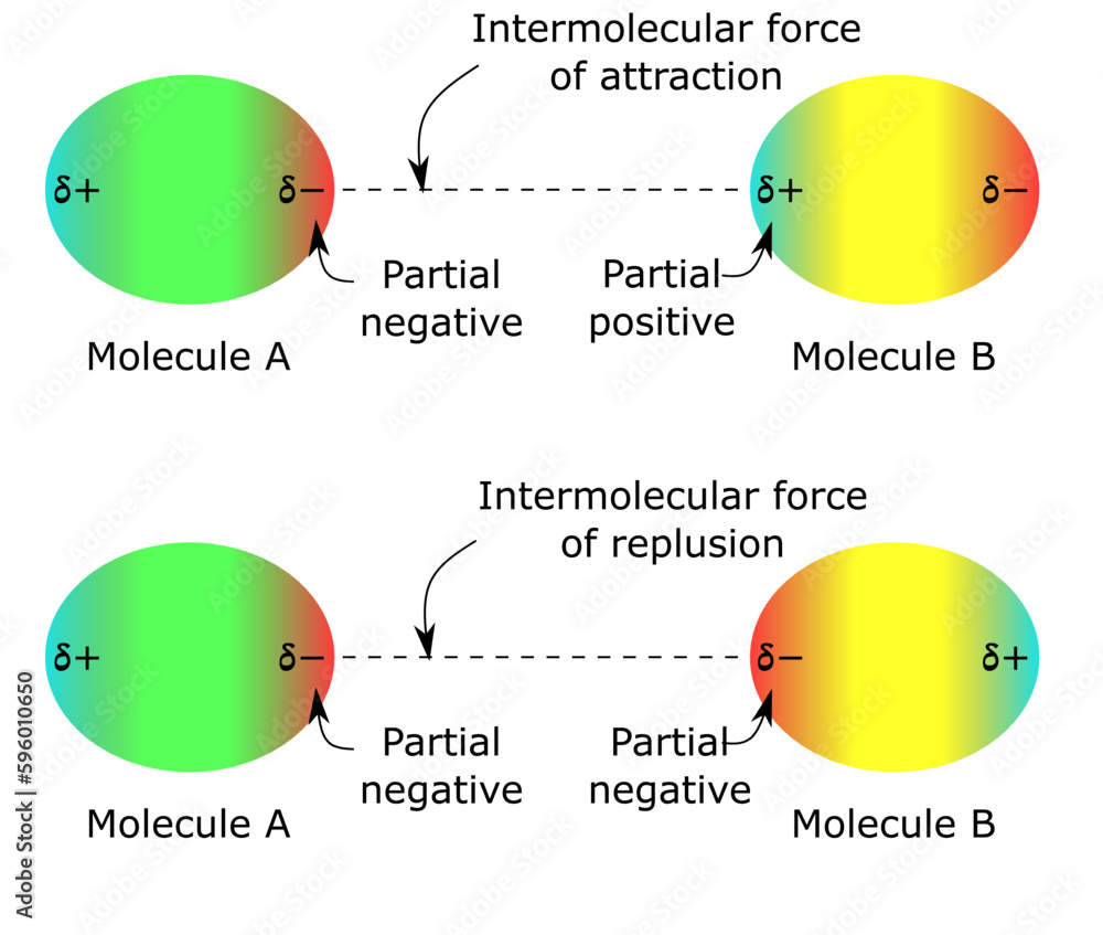 intermolecular force partial positive negative molecules hydrogen ...