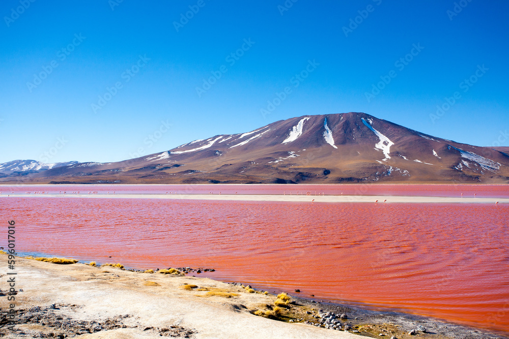 Laguna Colorada