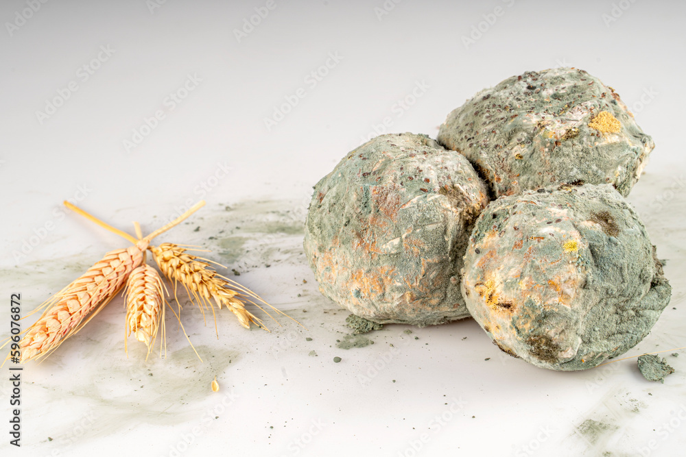 The picture of a moldy waste bread. Rotten and uneatable. Green mildew ...