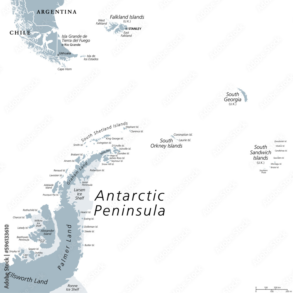 Poster Antarctic Peninsula area, gray political map – Wall Art | UkPosters