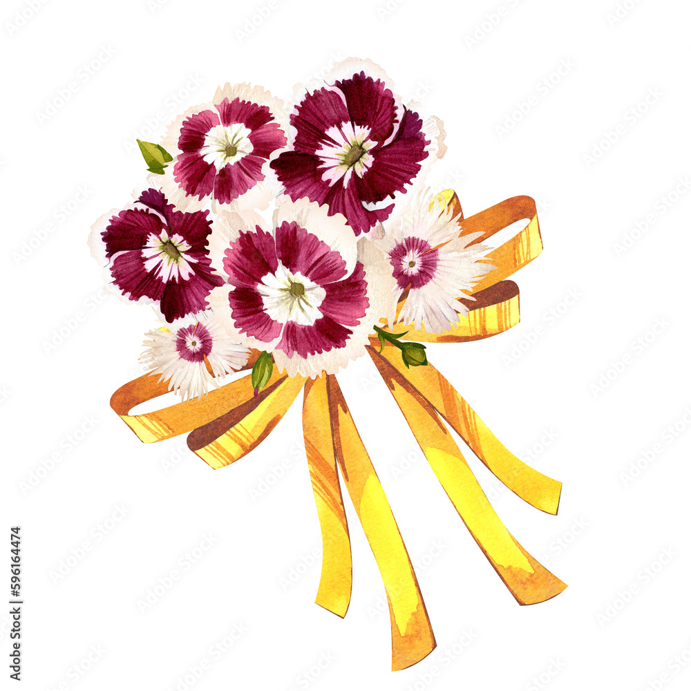 Turkish carnation with a yellow satin bow. Vintage watercolor botanical ...
