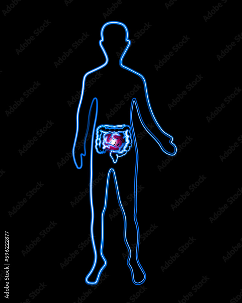 Vector isolated illustration of a human with intestine marking ...