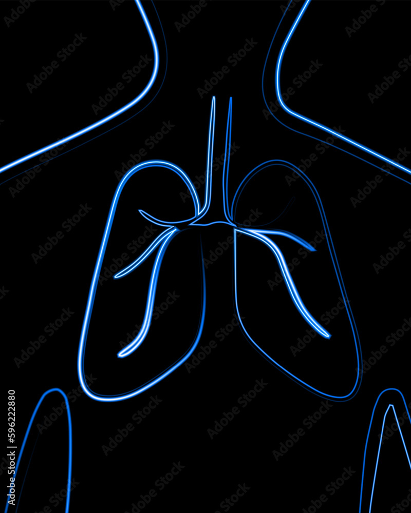 Vector isolated illustration of human lungs. Neon contour pattern of ...