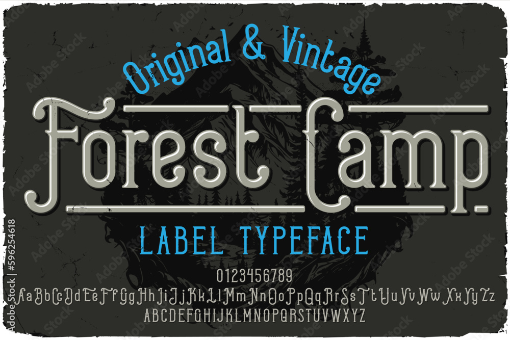 Vintage label font named Forest camp. Original typeface for any your ...
