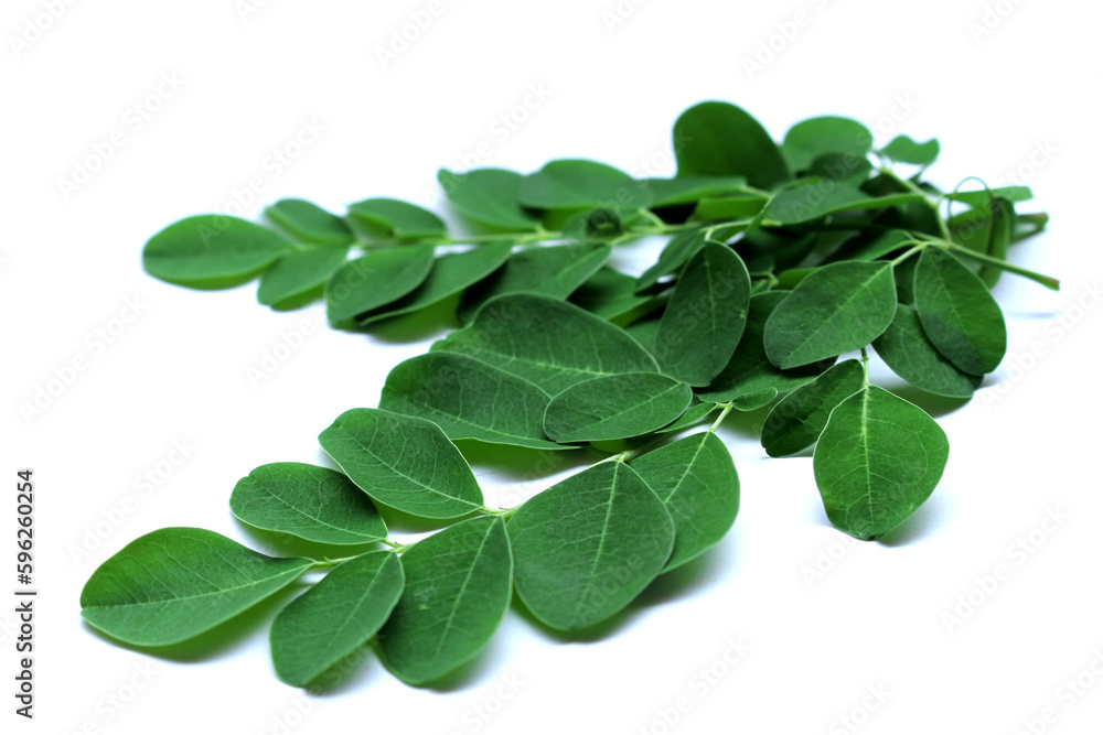 Moringa (Moringa oleifera) isolated on white background. Flat lay, top ...