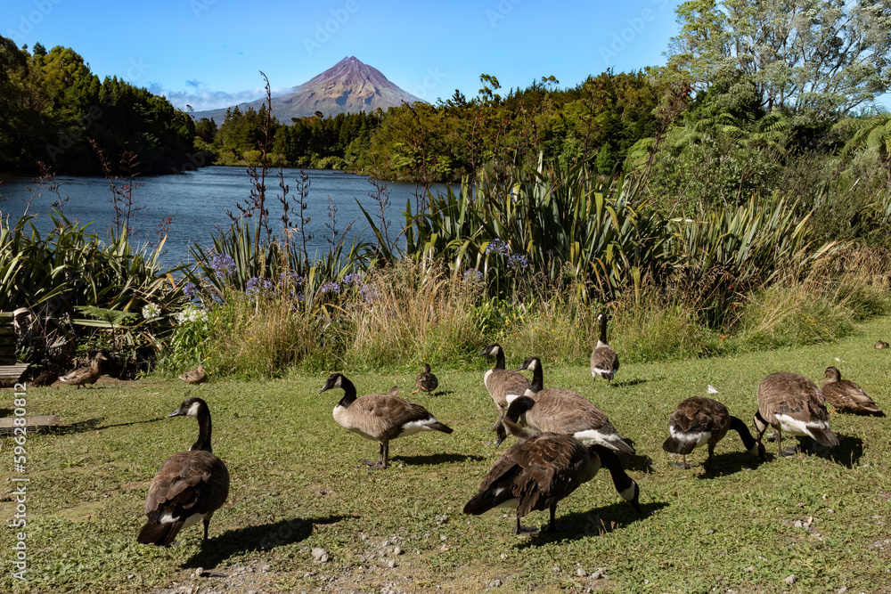 View of Mount Taranaki (Taranaki Maunga) from Lake Mangamahoe, with a ...