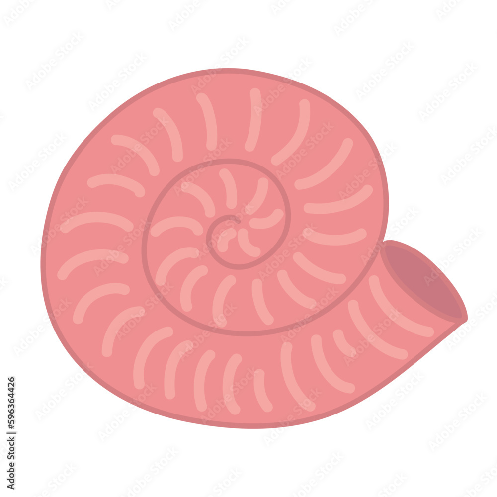 Cartoon spiral shell. Isolated vector element. Ammonite. Stock Vector ...