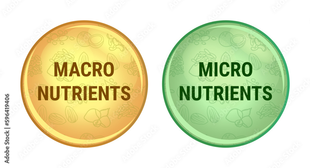 Vector set of icons or symbols of micro nutrients or micronutrients and ...