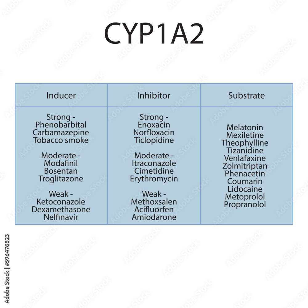 Grafika wektorowa Stock: Cytochrome CYP1A2 table of inhibitors ... Grafika wektorowa Stock: Cytochrome CYP1A2 table of inhibitors ...