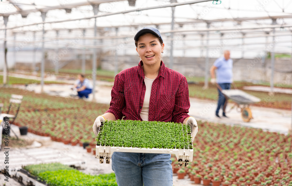 Positive young female staff gardener swaps pallets with young deren ...