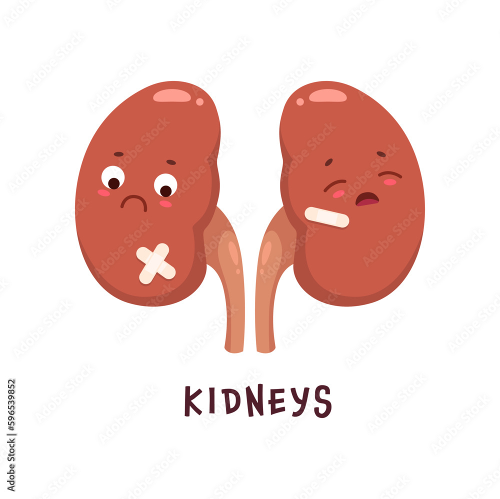 Kidneys, sick body organ character injured or unhealthy, cartoon vector ...