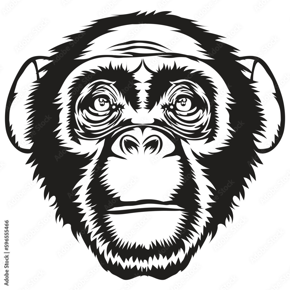 Straight face monkey clipart, Gorilla head vector illustration, monkey ...