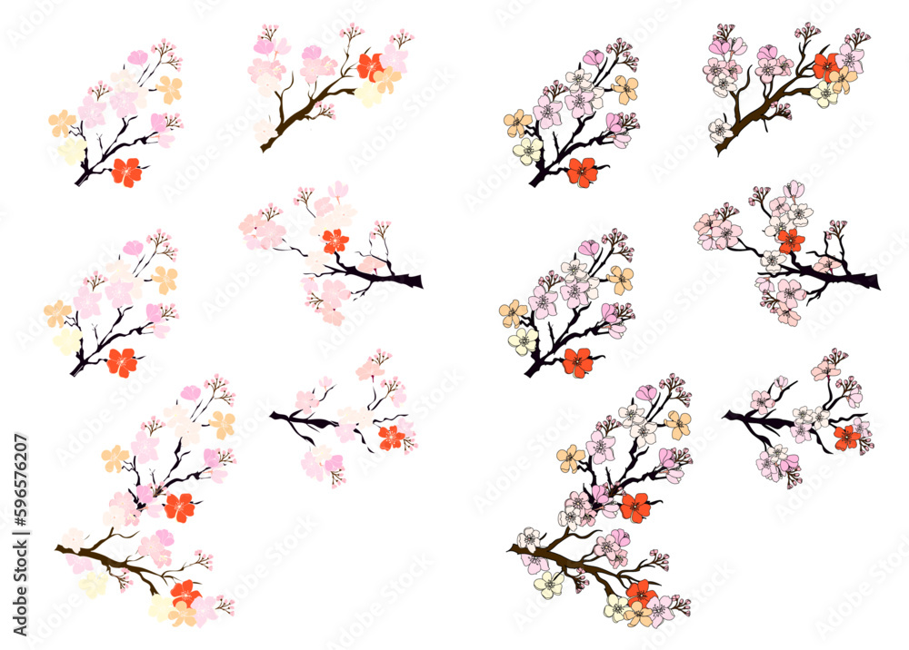 Free hand Sakura flower vector set, Beautiful line art Peach blossom ...