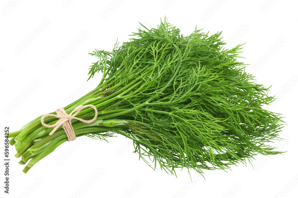 Dill isolated on white background, full depth of field Stock Photo ...