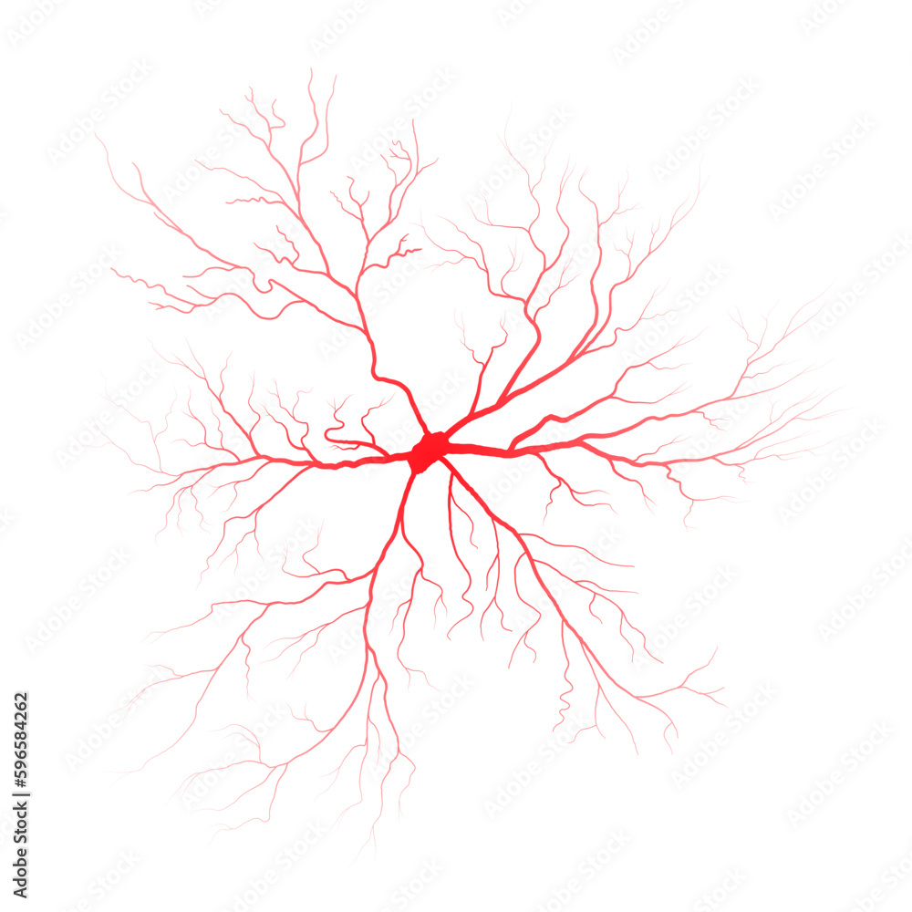 Human eye blood veins vessels silhouettes vector illustration isolated ...
