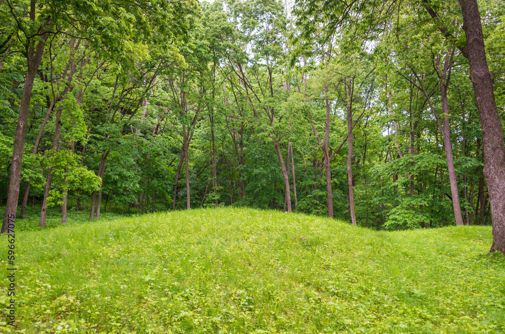 Burial Mounds at Effigy Mounds National Monument Stock Photo | Adobe Stock