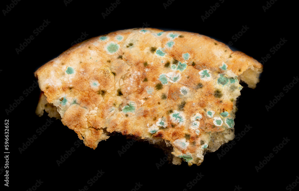 Mold on bread close-up macro. Mold on food. Fluffy mold spores as a ...