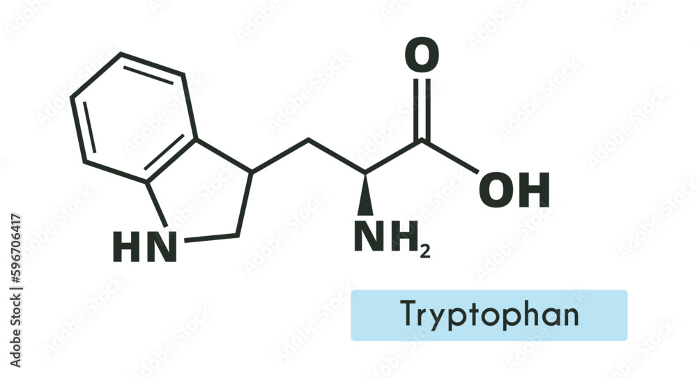 Tryptophan Molecule Structure. (l-tryptophan, Trp, W) Skeletal formula ...
