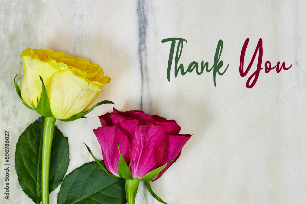 Thank You Pink Roses