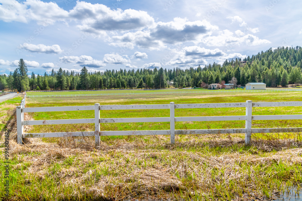 Tree covered hills and meadows with ranch homes and outbuildings in ...