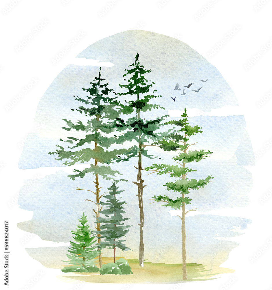 Watercolor Forest tree illustration. Mountain landscape. painting ...