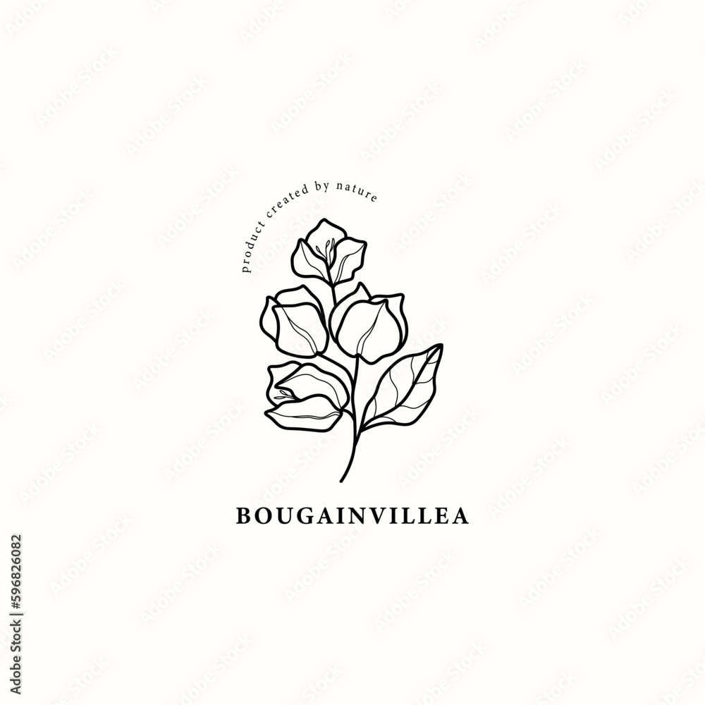 Line art bougainvillea flower illustration Stock Vector | Adobe Stock