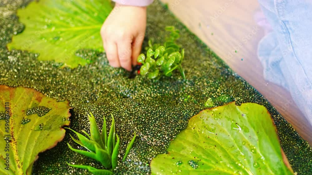 Video Stock Little girl playing in handmade swamp of green-dyed chia ...
