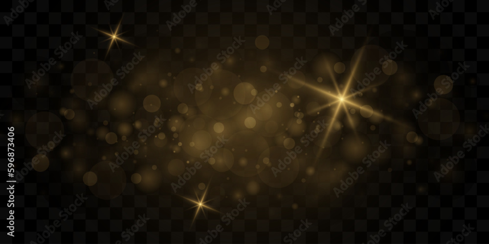 Shiny particle effect. Vector sparkles on a transparent background ...