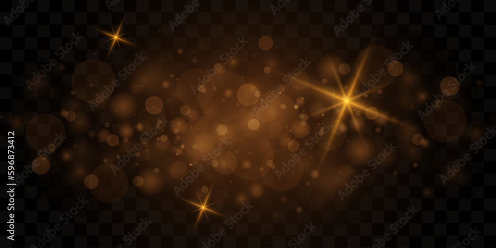 Shiny particle effect. Vector sparkles on a transparent background ...