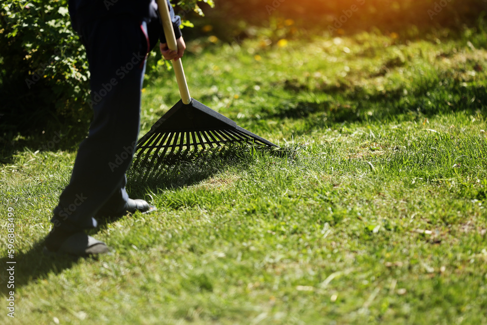 Unrecognised man is raking leaves with a plastic black rake. Cleaning ...