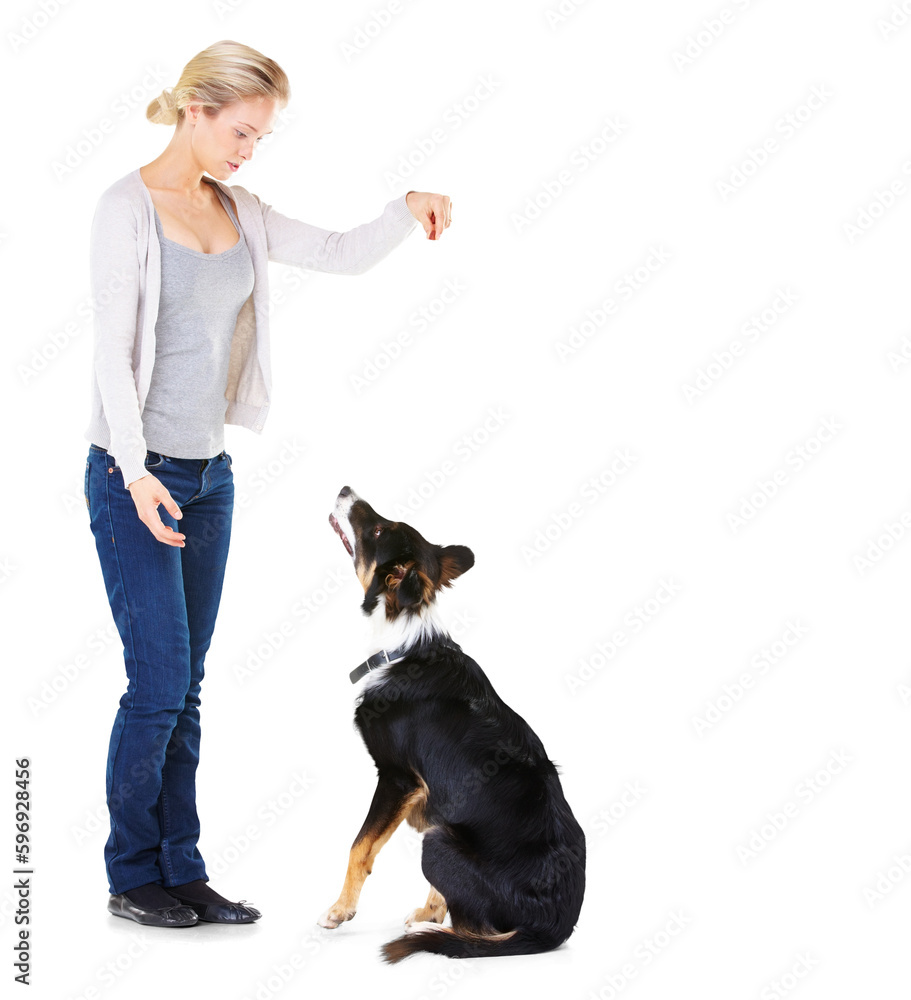 Woman training dog with treat, learning obedience and focus isolated on ...