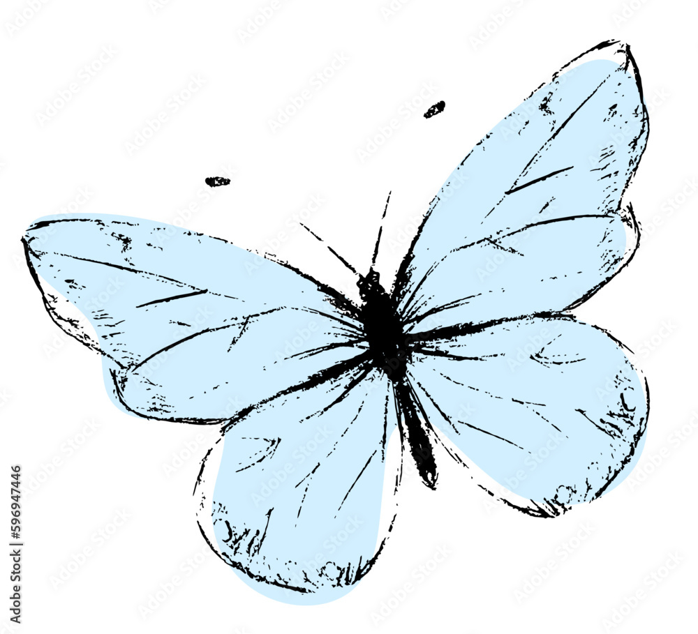 Rysunek niebieski motyl dekoracja Stock Vector | Adobe Stock