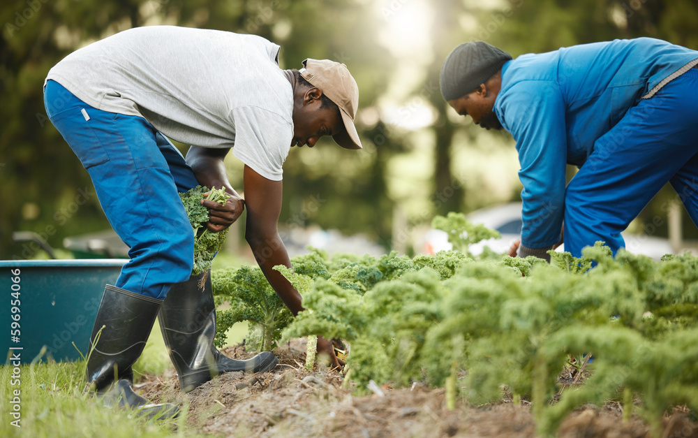 Working the land. Full length shot of two male farm workers tending to ...