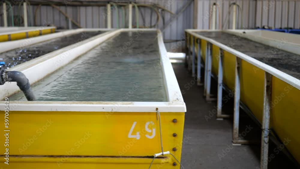 Rows of storage tanks for fish and shrimp farming based on modern ...