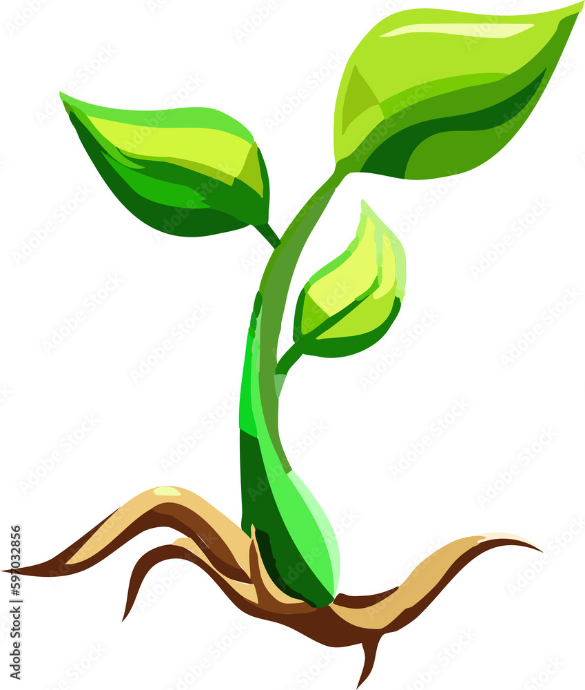 Plant Sprout Clipart