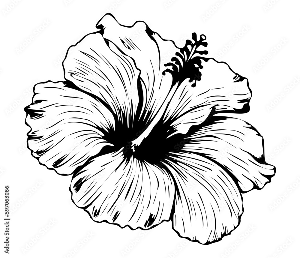 Hibiscus Outline Tattoo