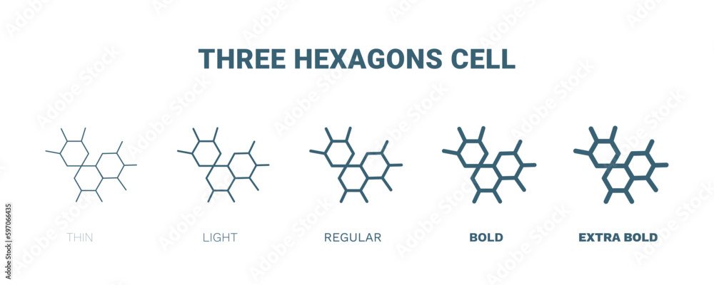 Vetor de three hexagons cell icon. Thin, light, regular, bold, black ...