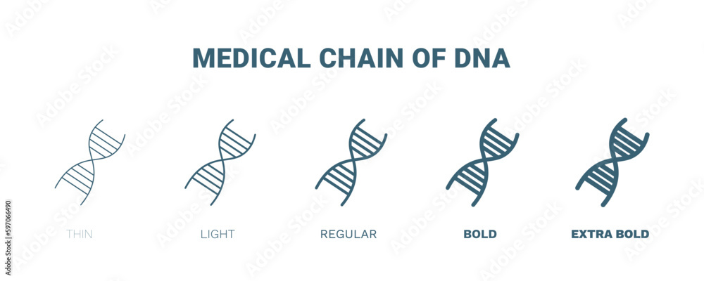 medical chain of dna icon. Thin, light, regular, bold, black medical ...