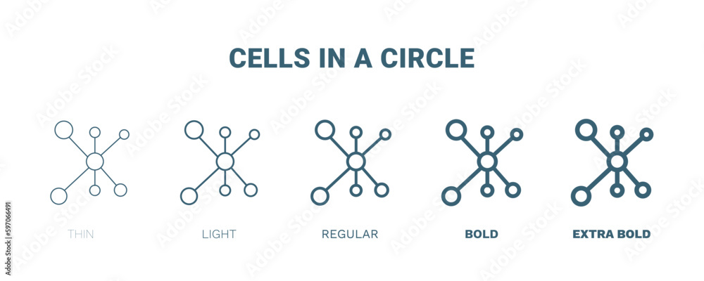 cells in a circle icon. Thin, light, regular, bold, black cells in a ...