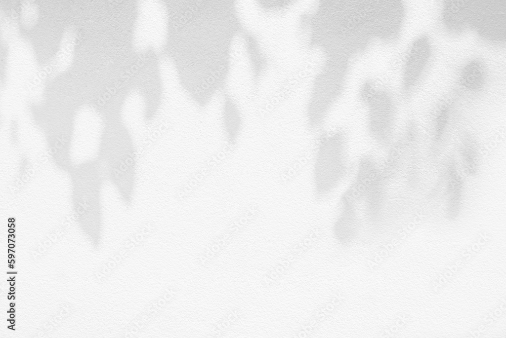 Leaf shadow and light on wall background. Nature tropical leaves tree ...