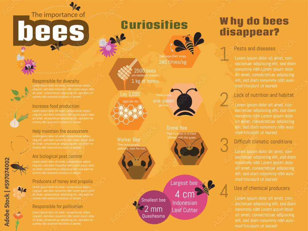 Infographic about the importance of bees, curiosities about them and ...